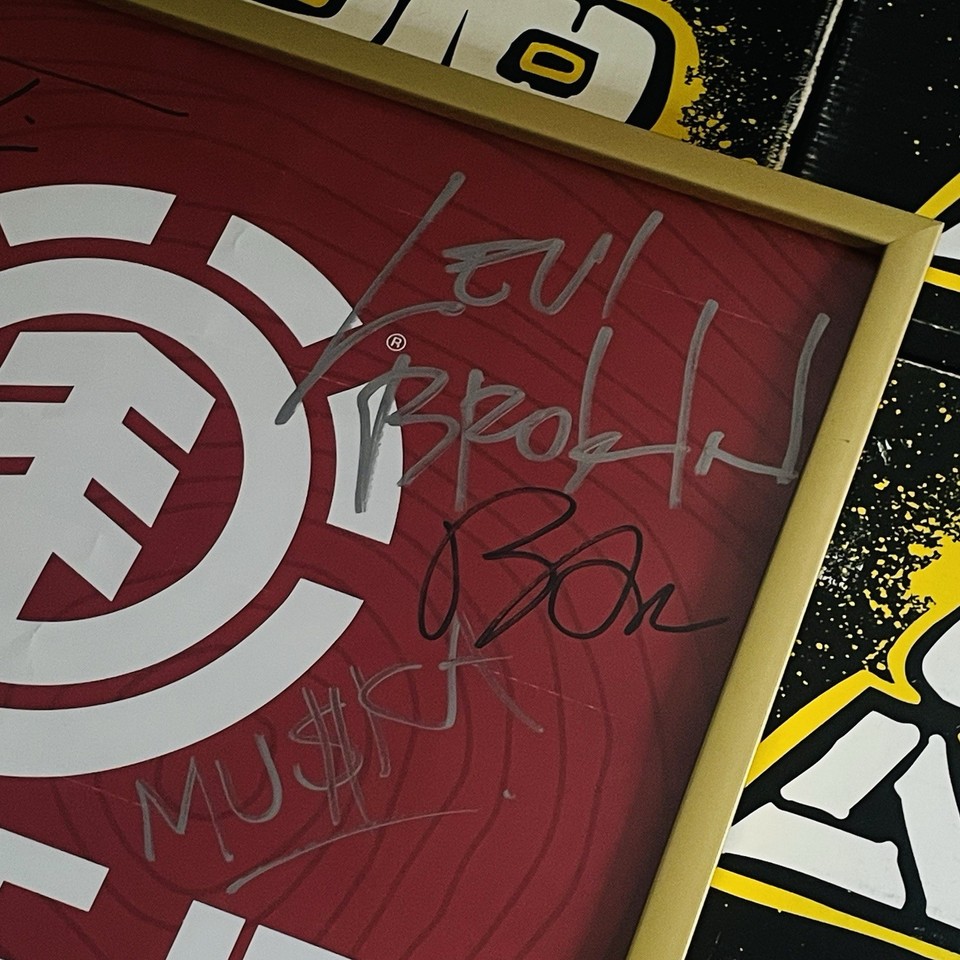 SIGNED ELEMENT BANNER POSTER BAM MARGERA CHAD MUSKA MIKE VALLELY *RARE ...