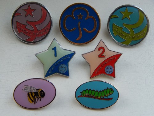 GIRL GUIDE CHALLENGE Pin Badges 7pcs | eBay UK
