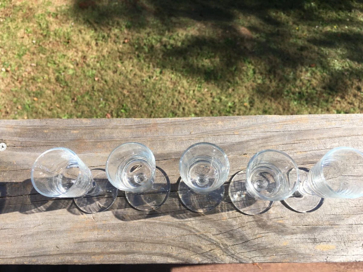 Mini Wine Tasting Glass