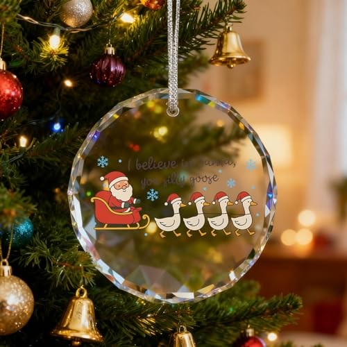 Winter Santa Claus Goose Clear Christmas Funny Santa Goose Christmas ...