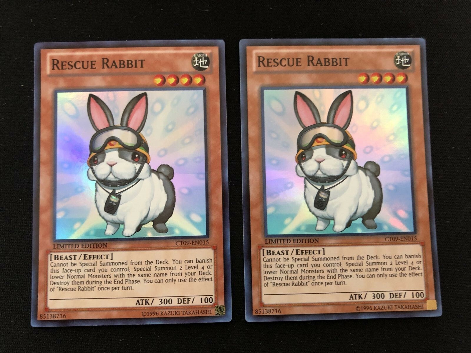 Rescue Rabbit Wallpaper