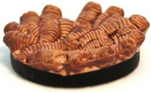 D&D Mini - Rot Grub Swarm #40 Rare Figure W/ Card 40/60 *Lords of ...