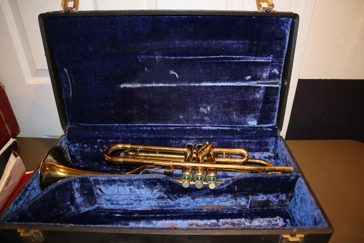 King Instrument Case Musical