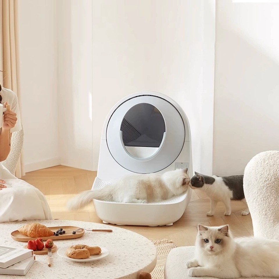 CATLINK Ramp for Self-Cleaning Litter Box Easy Entry for Elder Cats ...