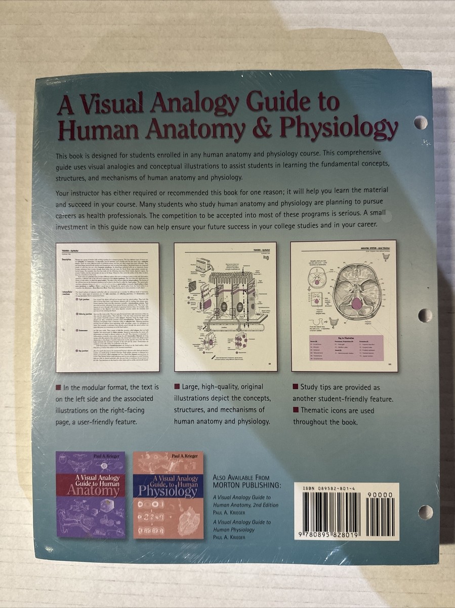 Visual Analogy Guide To Human Anatomy Anatomy And Physiology 2e 2e