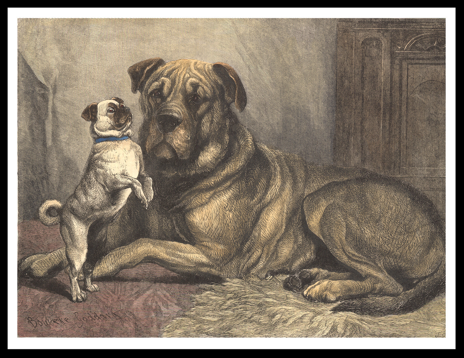 PUG AND MASTIFF LOVELY ANTIQUE 1880 ILLUSTRATED LONDON NEWS ENGRAVING ...