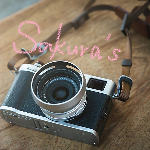 Sakura's Camera | eBay Stores