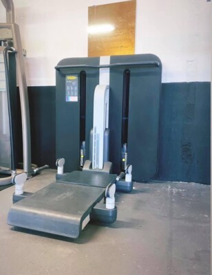 Technogym Kinesis Step/Squat Station - Commercial Gym Equipment | eBay UK
