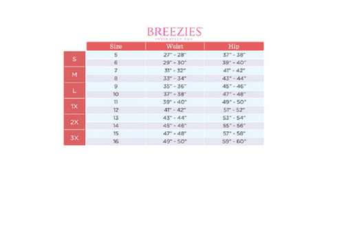 Breezies Set of 4 Nylon Microfiber Brief Panty-Honey Peach-Large-NEW ...