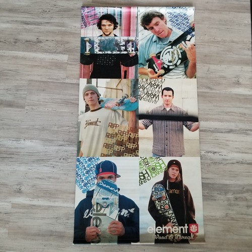 Bam Margera Tosh Townend Element Skateboard Promotional 4'x2' Vinyl ...