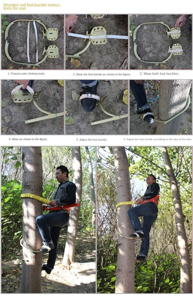 Buckle on The Tree Special Tools To Pick Coconut Trees To Catch Iron ...