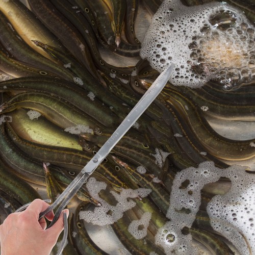 Pickup Clip Sea Crab Tong Fish Control Clamp for Outdoor Gripper | eBay