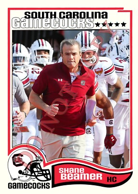 Shane Beamer Custom Art Card - South Carolina Gamecocks - Raw card | eBay