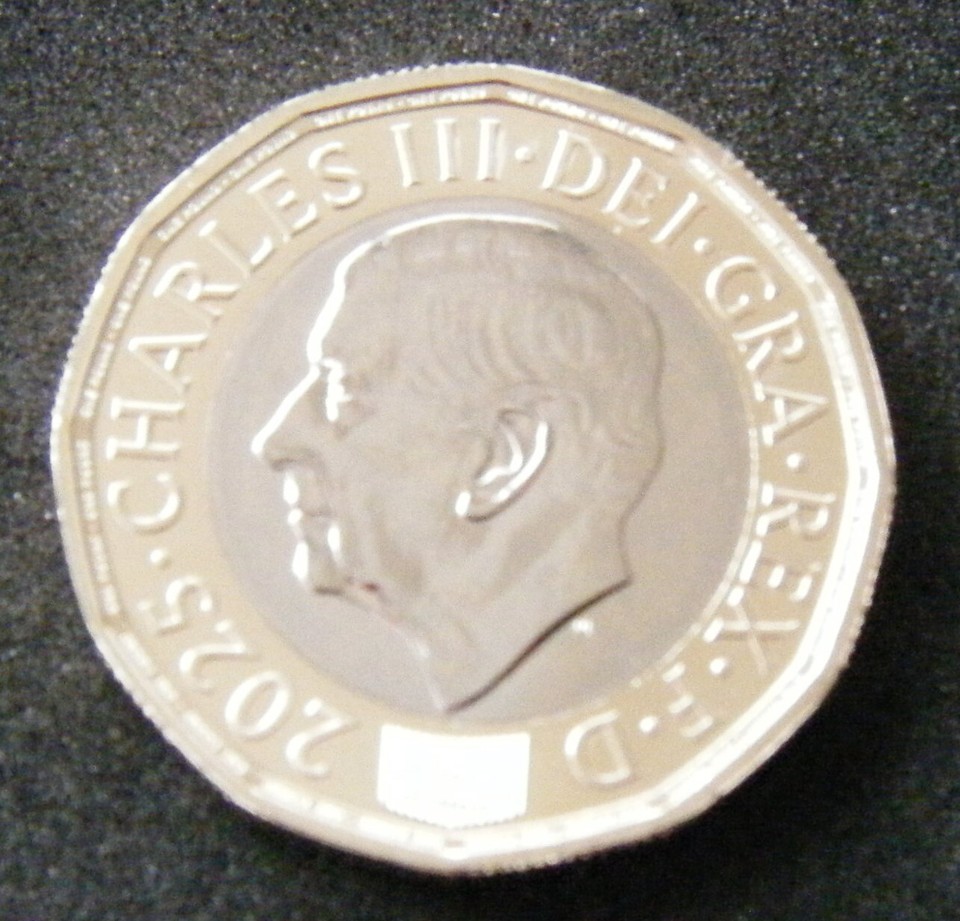 2025 £1 One Pound Coin Bees Brilliant Uncirculated BU - In Stock | eBay UK