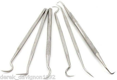 6pc STAINLESS STEEL DENTAL PICKS | eBay