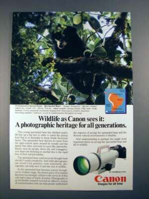 1985 Canon F-1 Camera Ad w/ Spectacled Bear | eBay