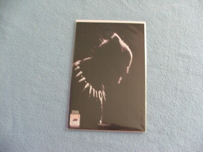 Marvel Comics Black Panther 25 Patrick Gleason Cover Art. 2021 | eBay