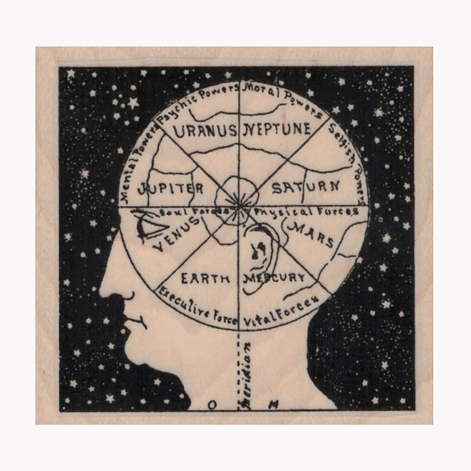 Mounted Rubber Stamp, Astro Phrenology Brain, Pseudo Science, Mixed ...