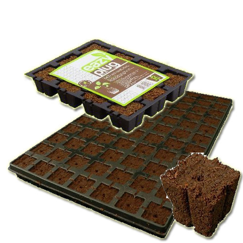EAZY PLUG COCO PLUG CUTTINGS TRAY HYDROPONICS 77 CELLS CUBES SEEDING ...