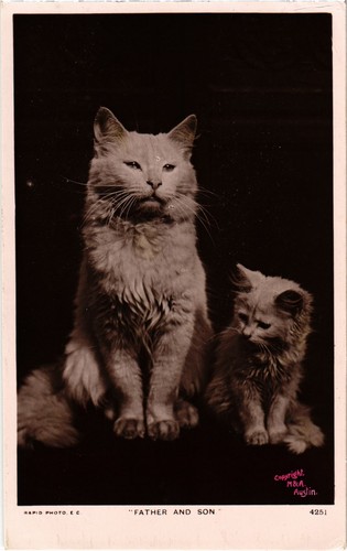CPA AK Father and son CATS (1340541) | eBay