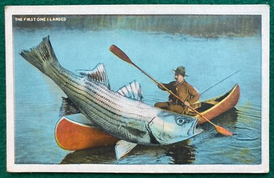 c1910 Litho Postcard Fishing exaggeration humor canoe First One I ...