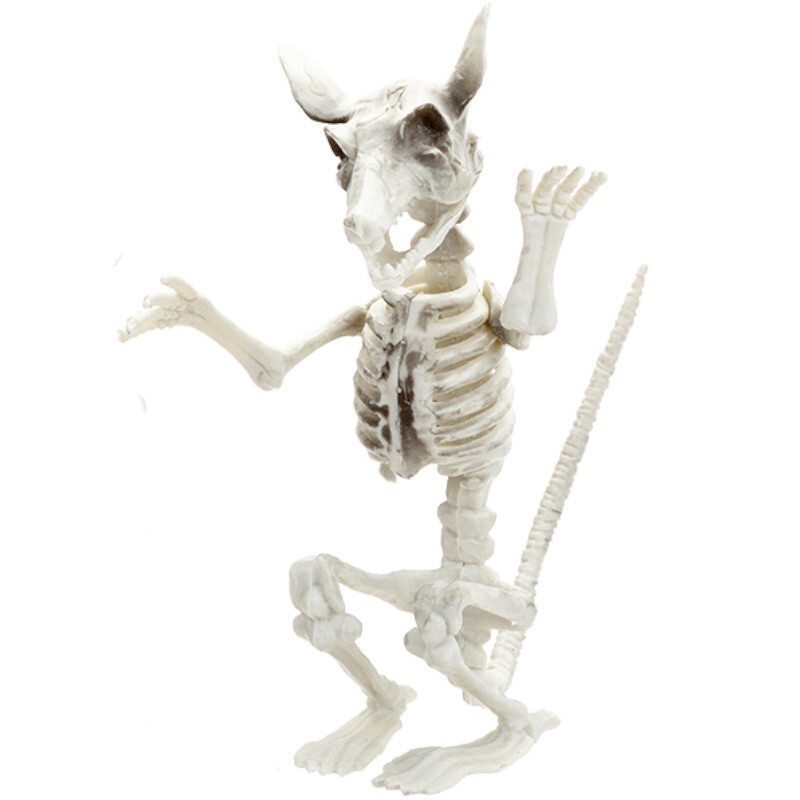 Giant 30cm Rat Skeleton Halloween Decoration Realistic Bones Scary ...