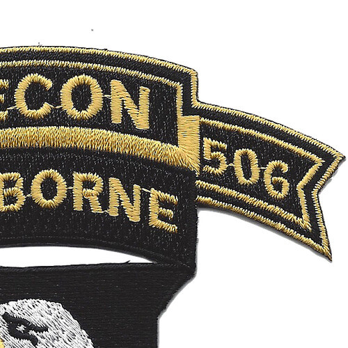 101st Airborne Division 506th Airborne Infantry Regiment 1st Battalion ...