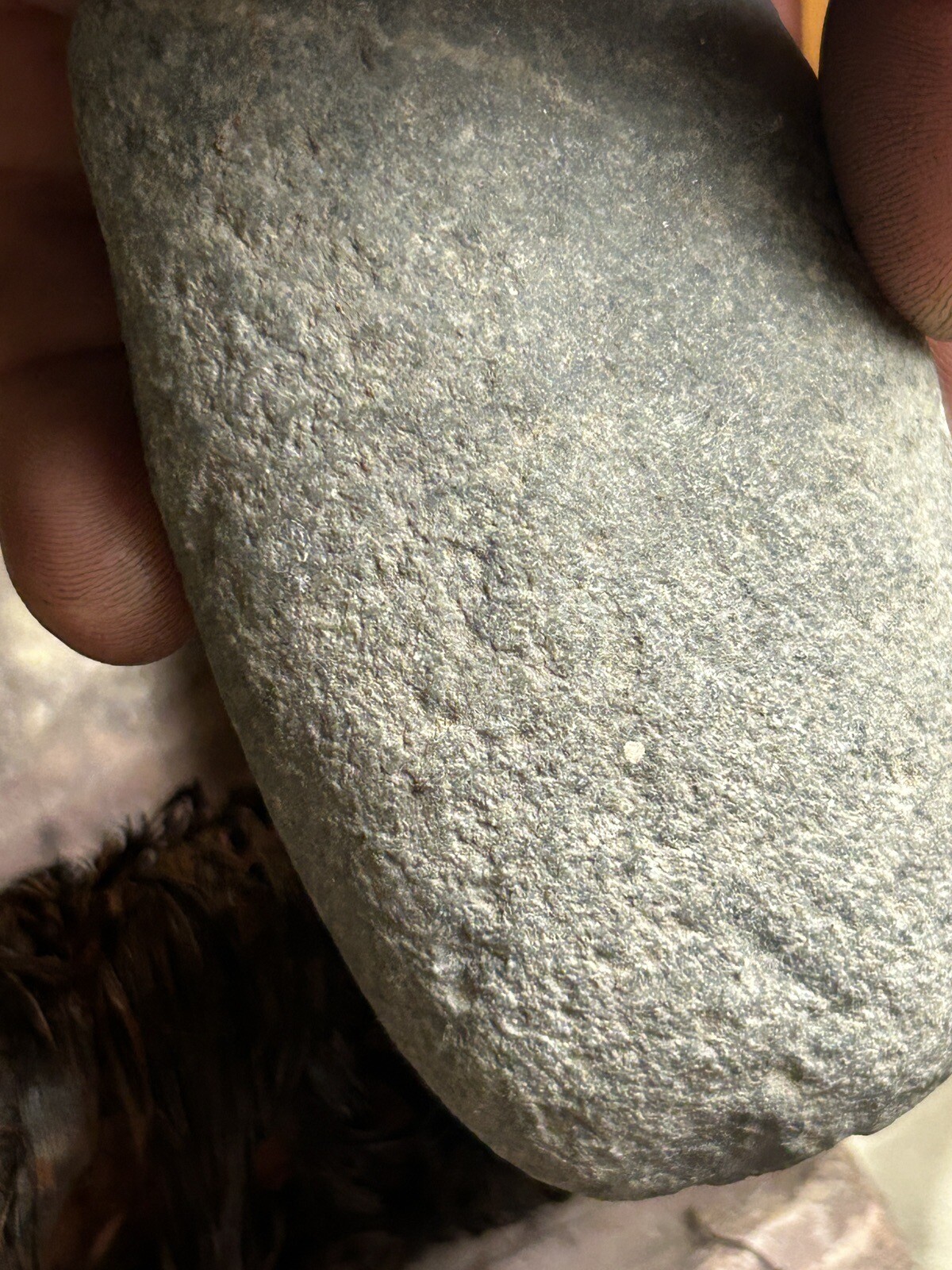 Native American Indian Stone Axe Head Chopping Tool Celt Ancient Rare ...