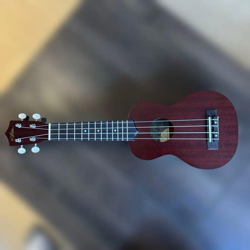 [Good product] Soprano ukulele ARIA Au-1 with case | eBay UK
