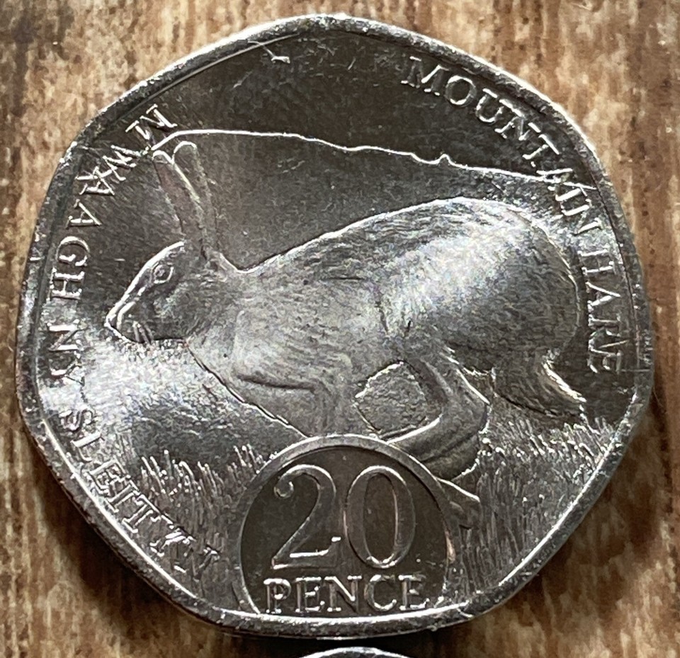 Peregrine Falcon 50p + Mountain Hare 🐇 Diamond Finish Unc X2 Coins IOM ...