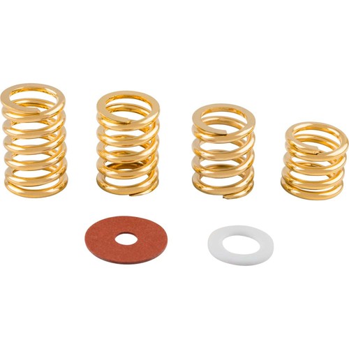 Bigsby Spring and Washer Pack, Gold | eBay