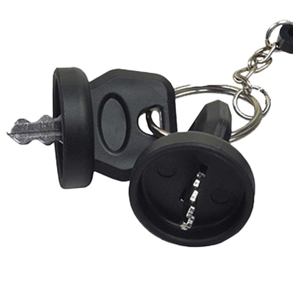 Keys for Golden Buzzaround EX, LT, & Later XL, XL HD Model Scooters MBE ...