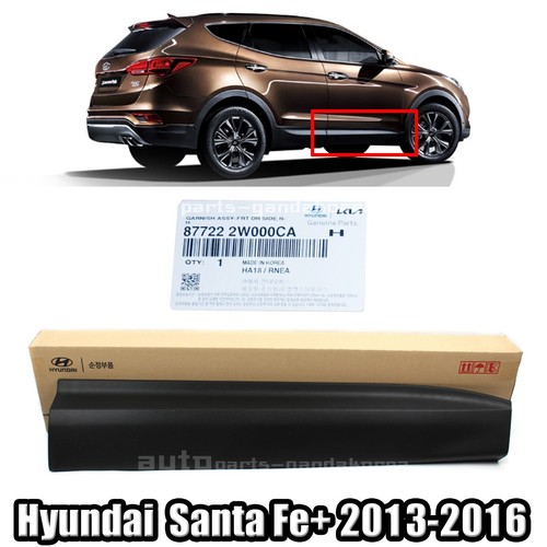 FREE⭐FEDEX Genuine Front Door Lower Molding Garnish Right For Santa Fe+ ...