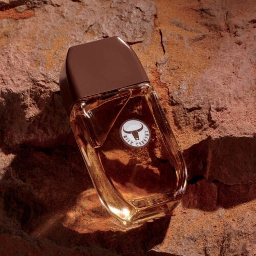 Avon Wild Country Cologne Spray For Men 3 Oz PACK OF 2 | eBay