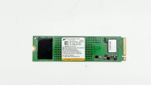 Micron 2450 256GB M.2 NVMe PCIe Gen4 x4 2280 SSD M73976-001 | eBay