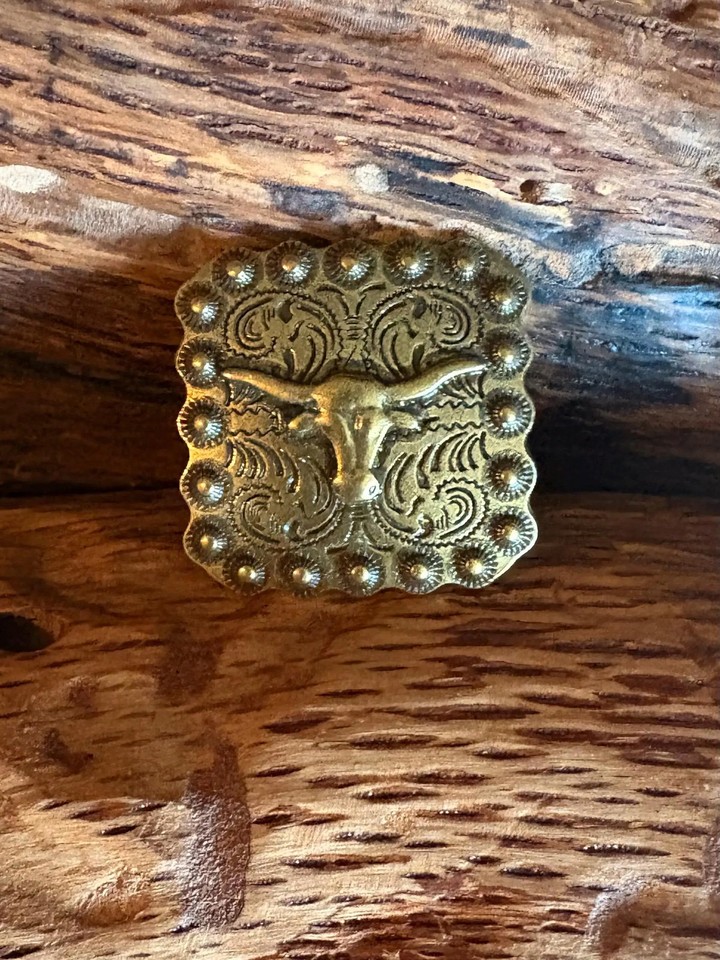 Western wild rag slide | Texas Long Horn Steer | Man Scarf Slide | eBay