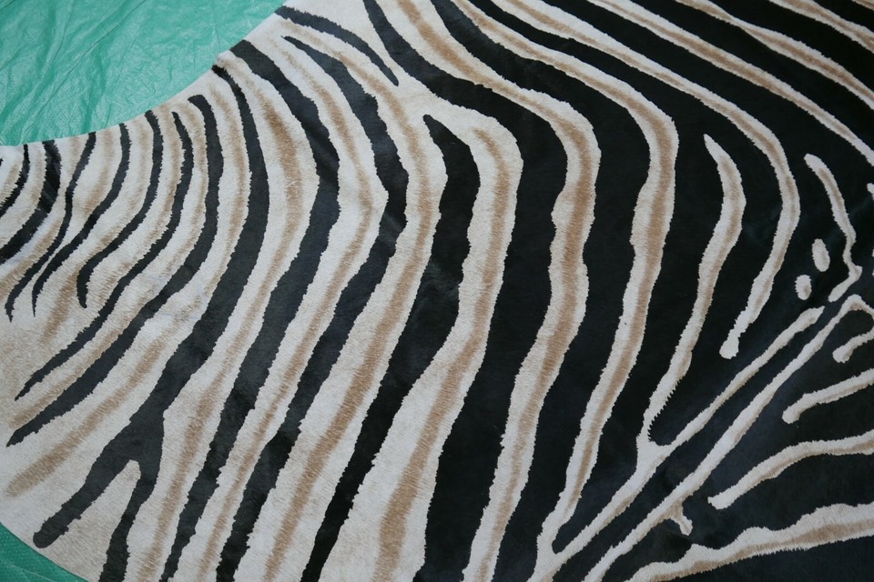 Zebra Print Cowhide Rug Size: 7 X 6' Genuine Zebra Print Cow Hide Rug ...