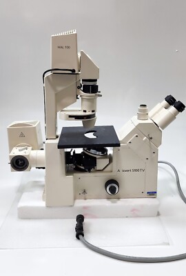Microscopes - Inverted Phase Contrast Microscope