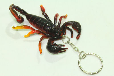 SCORPION Keyring Australian Arachnid Key Ring Key Chain Novelty ...