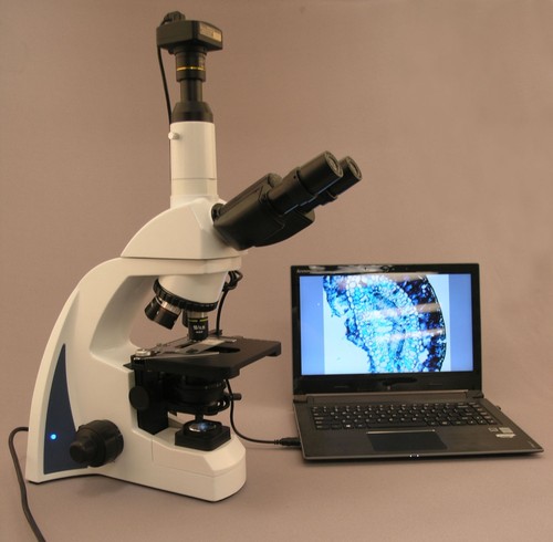 AmScope 40X-1000X Professional Infinity Trinocular Compound LED ...