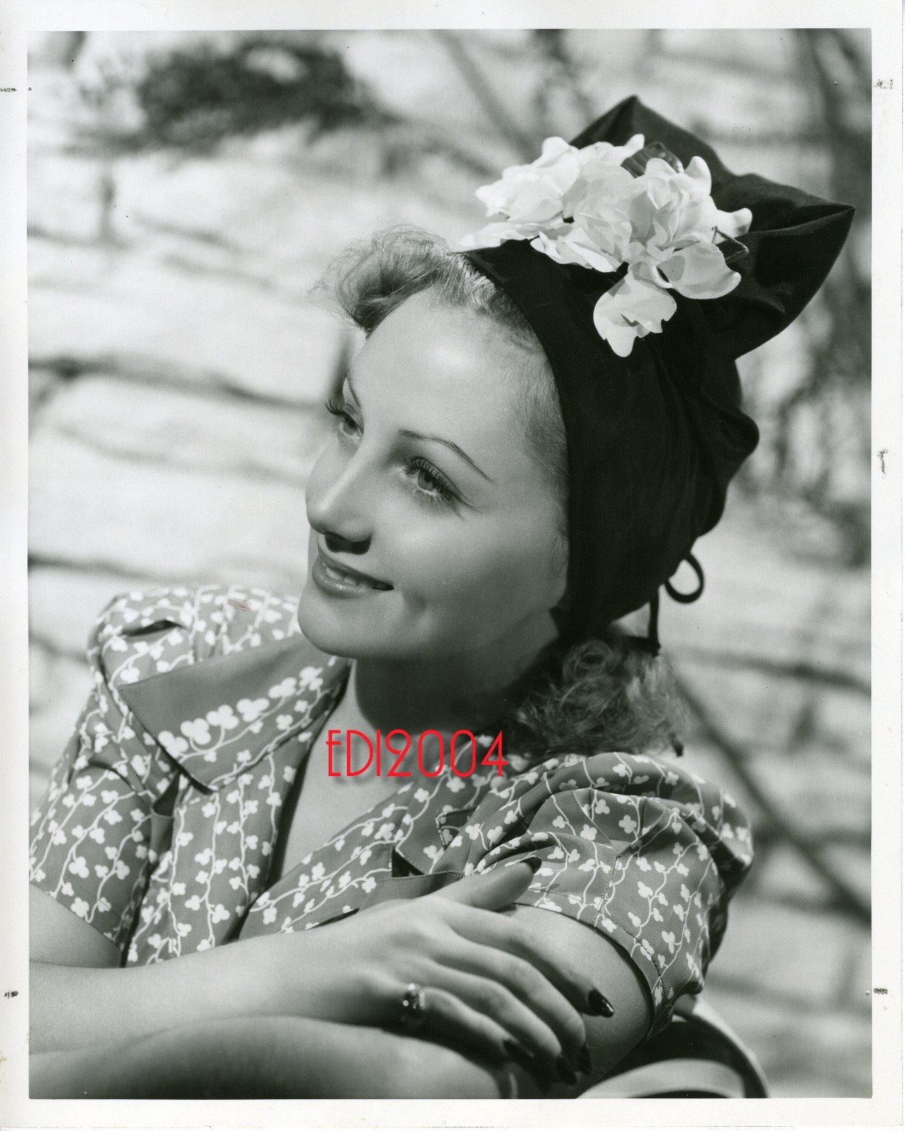 Diana Lewis William Powell