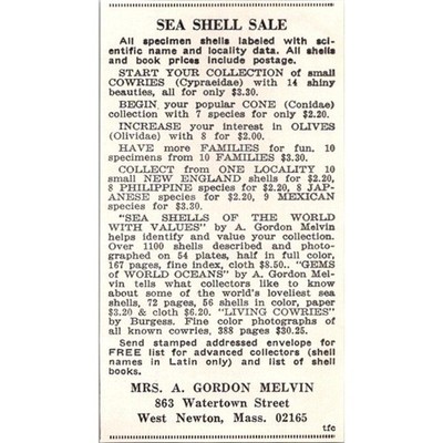 Sea Shell Sale All Labeled A Gordon Melvin West Newton MA 1973 Ad SAI4 ...