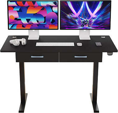 45" Office Electric Standing Desk with 2 Drawers Adjustable Height Desk ...