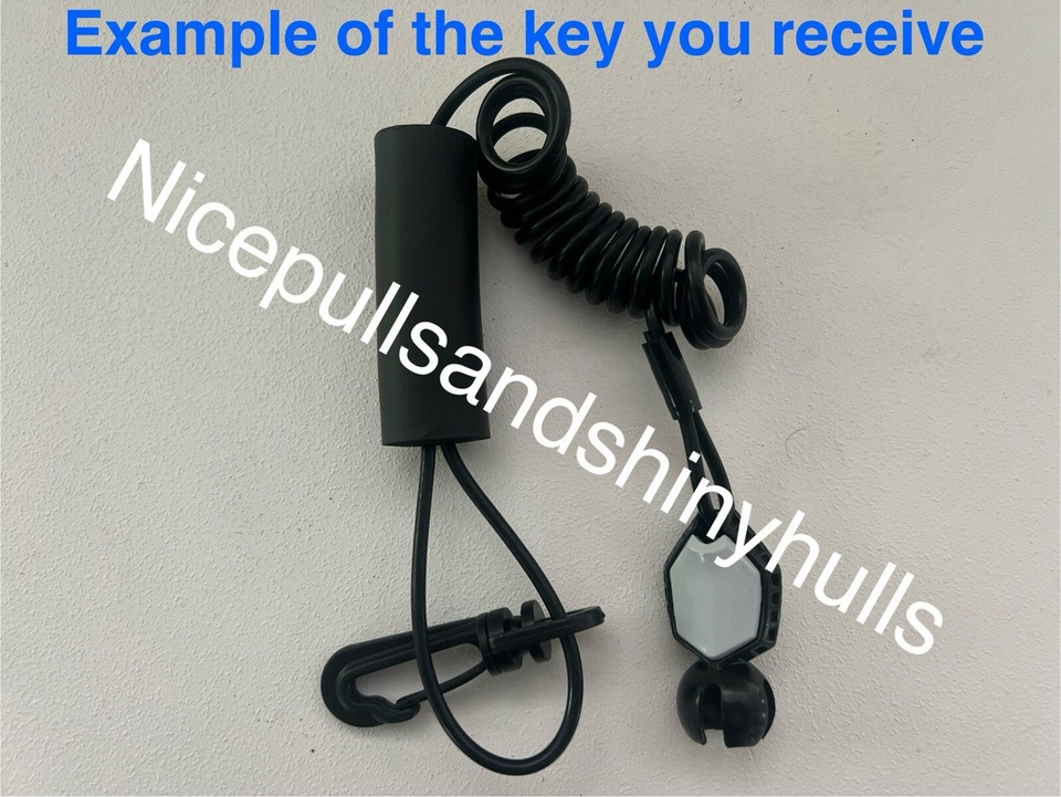 Can-Am ECU RF Key Programming Claw Type (New Key Included) | eBay