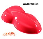 High Gloss Watermelon Gallon Acrylic Enamel Car Paint Kit | eBay