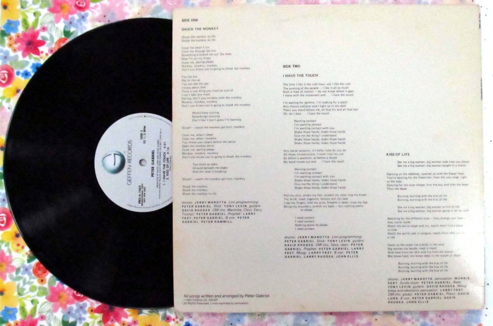Peter Gabriel Miss