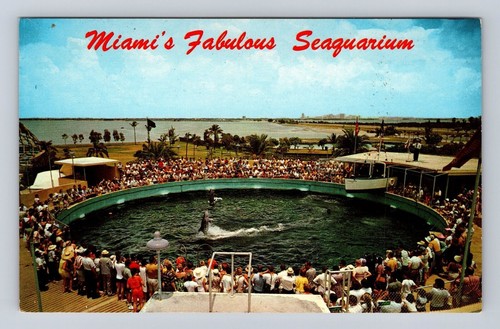 Miami FL-Florida, Cha-Cha, Porpoises, Seaquarium, Advertising Vintage ...