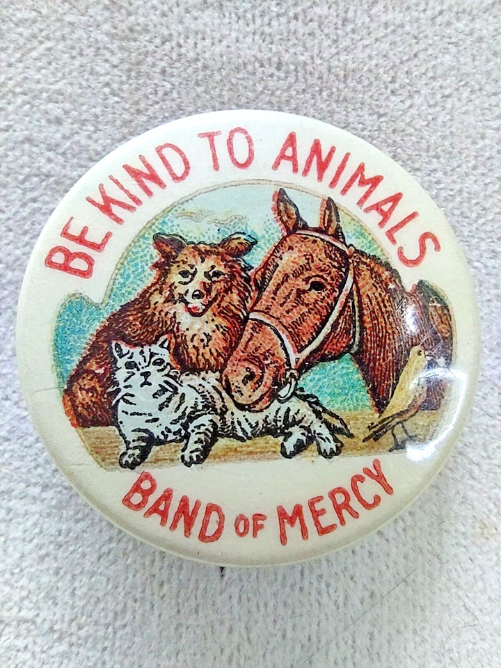 Antique Celluloid Be Kind to Animals Band of Mercy Pledge Pin Back ...