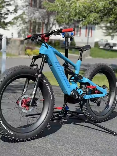 Dengfu Fat Tire Bike Frame E10 Front Triangle and E23 Fat Tire Rear ...