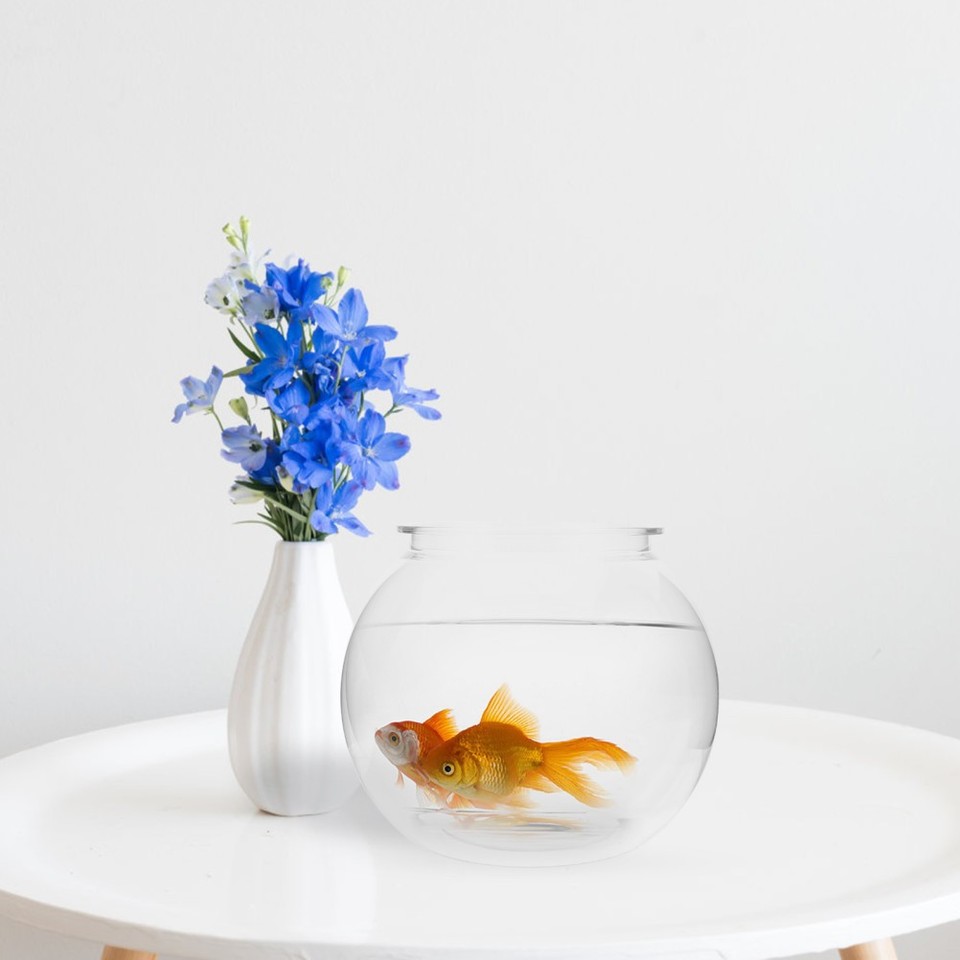Plastic Fish Bowl Transparent Desktop Small Aquarium Goldfish Bowl for ...
